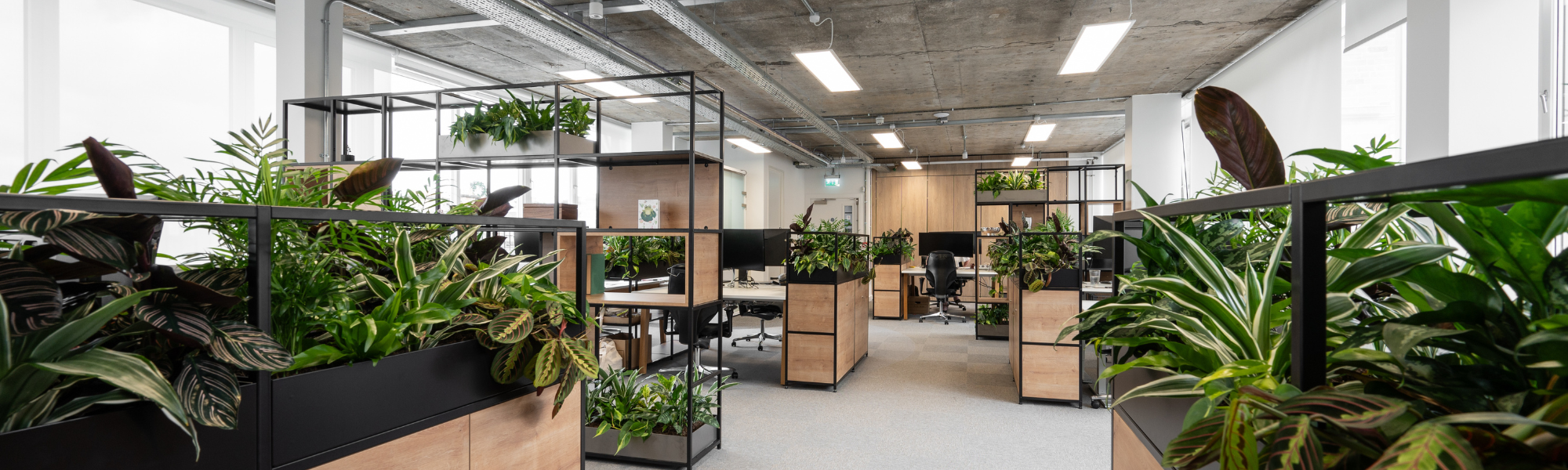 Benholm Group - Green Walls & Landscaping Biophilic Design | Partner ...