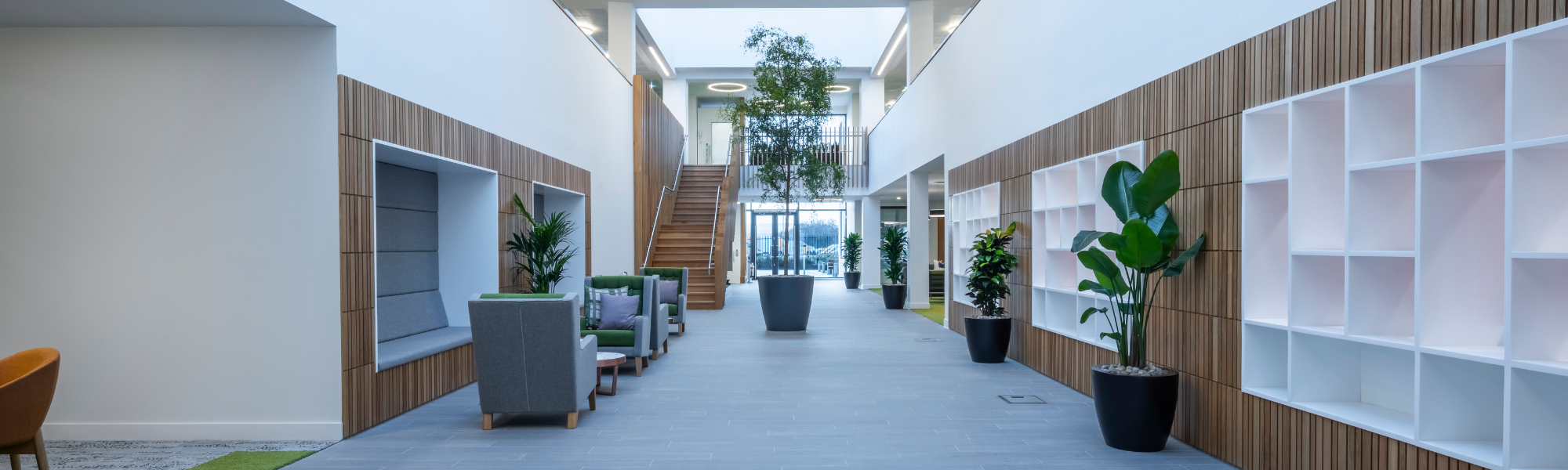 Benholm Group - Green Walls & Landscaping Biophilic Design | Partner ...