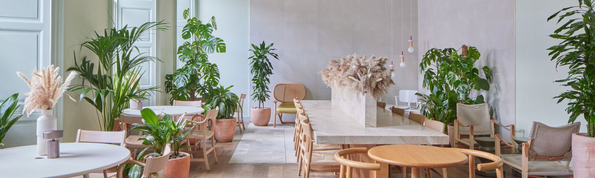 Benholm Group - Green Walls & Landscaping Biophilic Design | Partner ...
