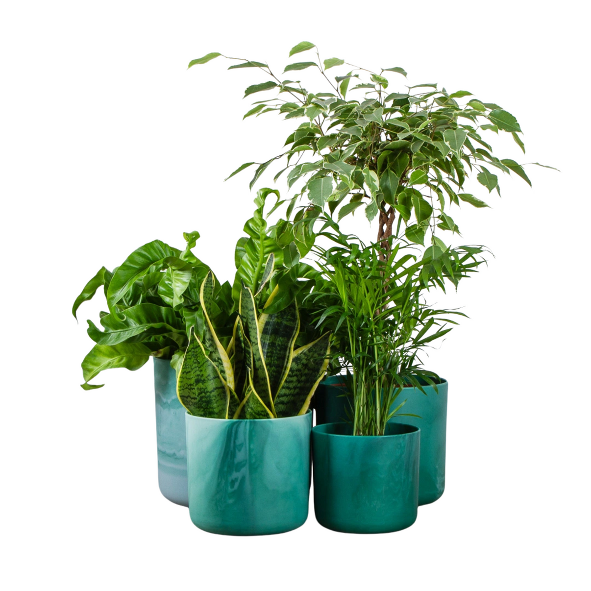 Benholm Group - Green Walls & Landscaping Biophilic Design | Partner ...